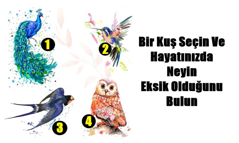 Bir Kelebek Seçin ve Kendiniz Hakkında Yeni Bir Şeyler Öğrenin ... Bir Kelebek Seçin ve Kendiniz Hakkında Yeni Bir Şeyler Öğrenin ...